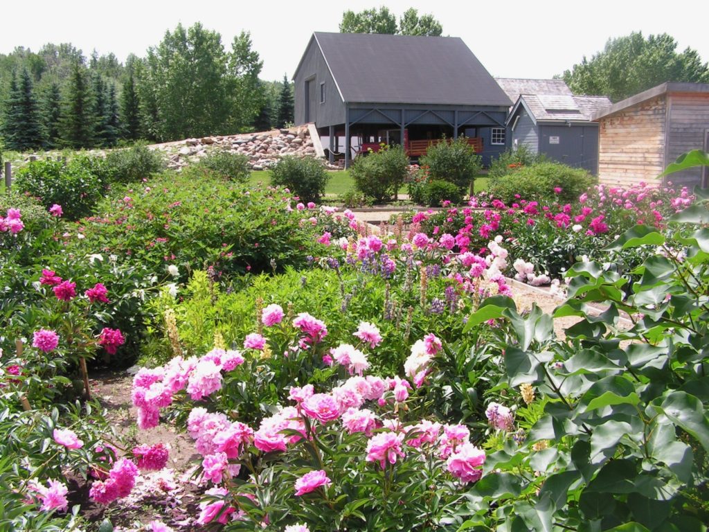 Honouring Ada (Bruce) Hole - Fort Edmonton Foundation